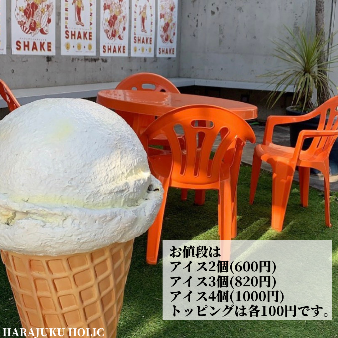 体に良い映えるアイス KIPPY'S COCO-CREAM